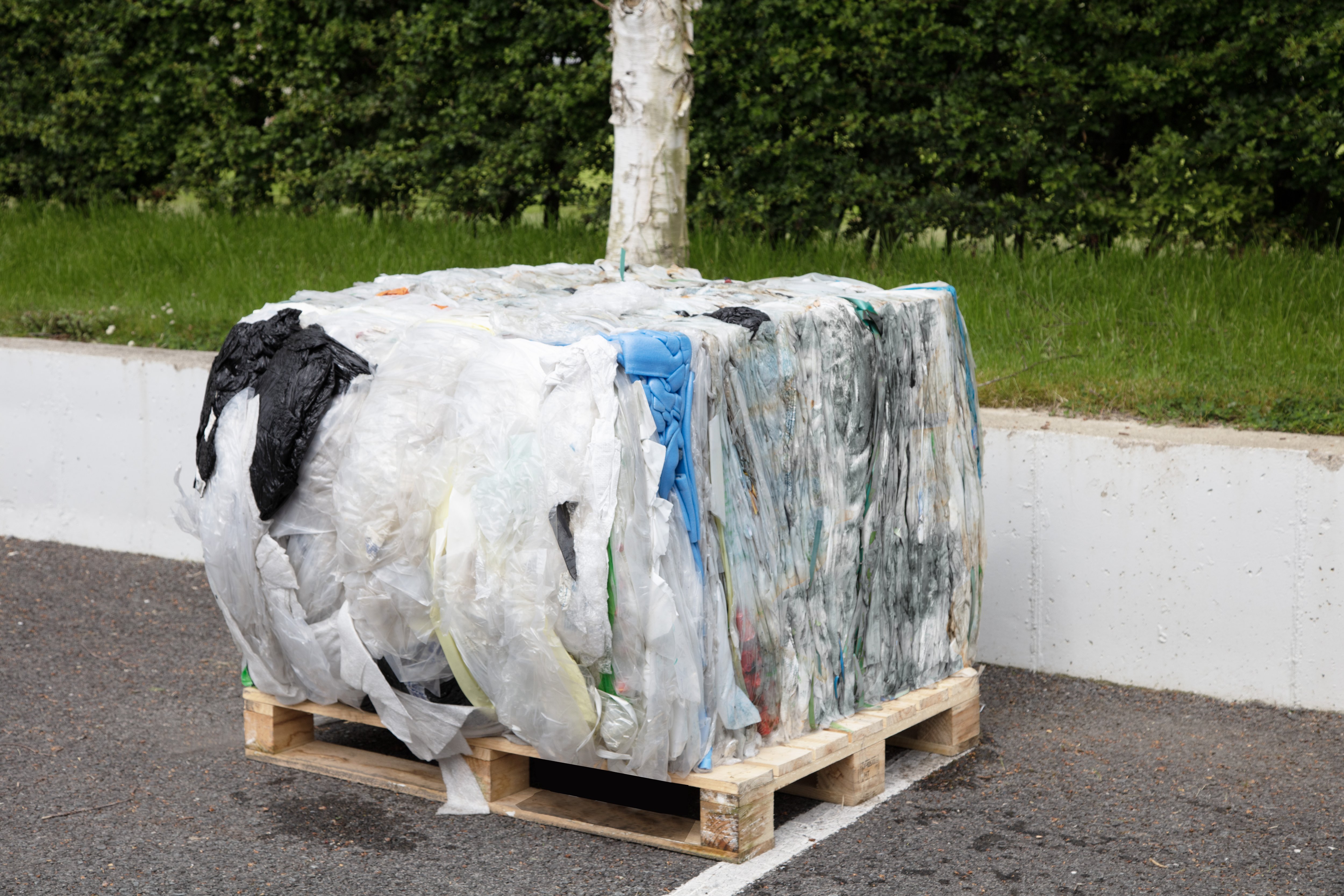 Plastic Waste | Bergmann Direct